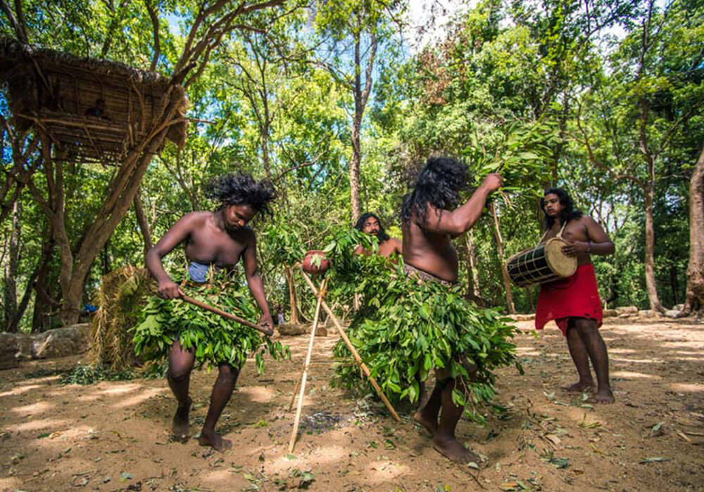 Complementary Activities - Sri Lanka Nature Tours/ Hiking and Trekking